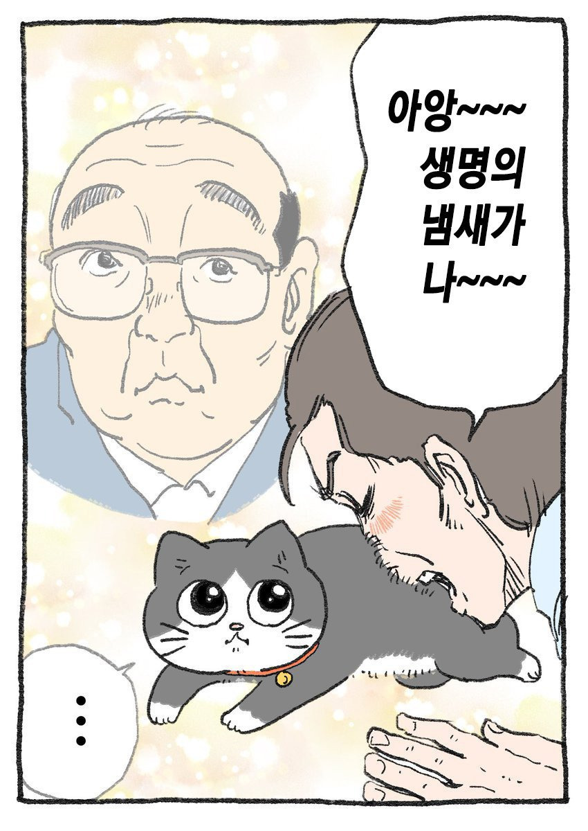 고양이는 정말 귀여워 고양이로 환생한 아저씨 만화 Daum 카페