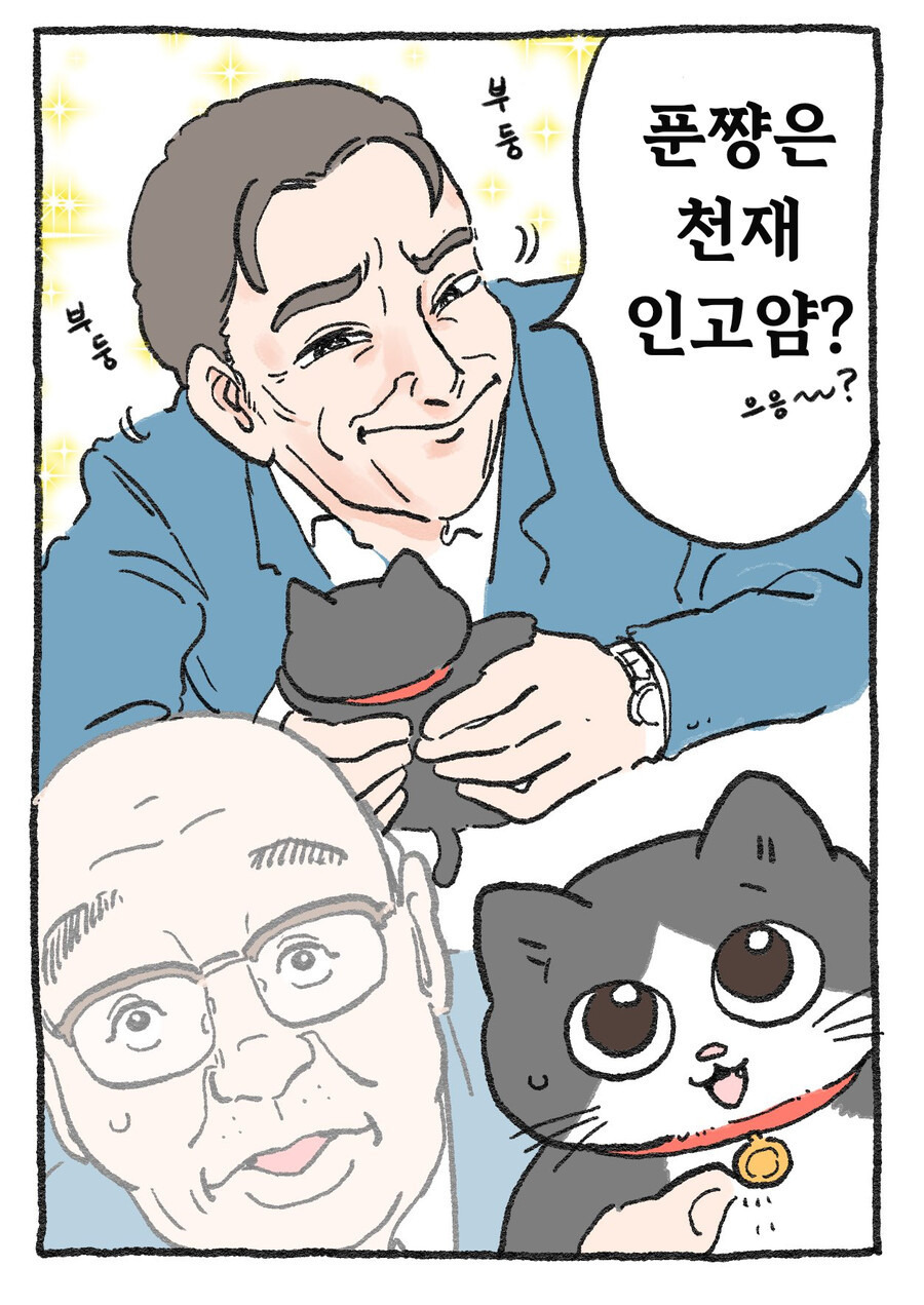 고양이는 정말 귀여워 고양이로 환생한 아저씨 만화 Daum 카페