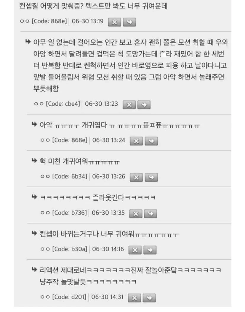 고양이는 정말 귀여워 고양이들 자기들 나름 루틴 있는 거 귀여움 Daum 카페