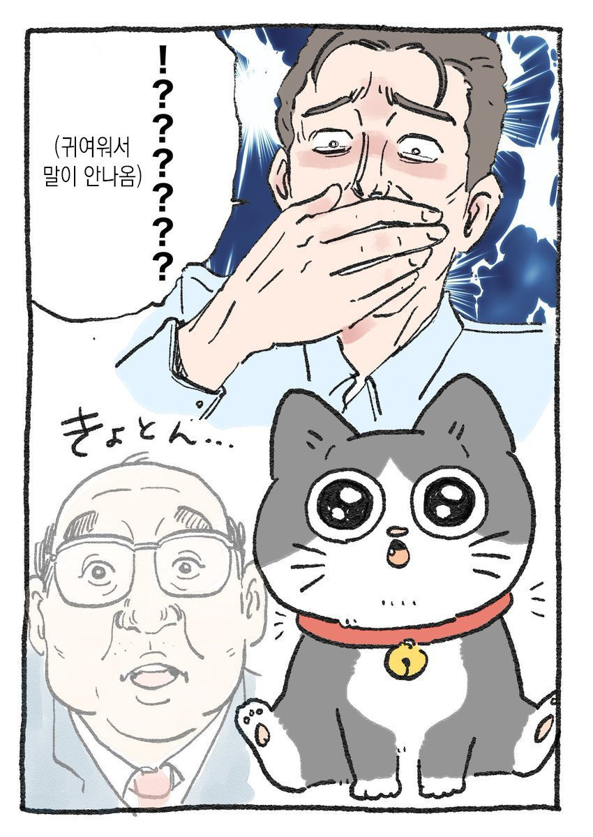 고양이는 정말 귀여워 고양이로 환생한 아저씨 만화 Daum 카페
