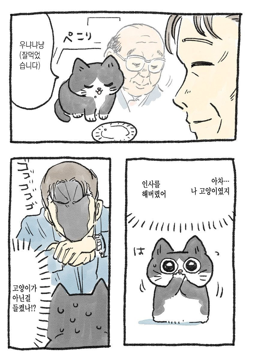 고양이는 정말 귀여워 고양이로 환생한 아저씨 만화 Daum 카페