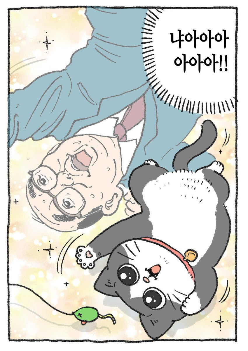 고양이는 정말 귀여워 고양이로 환생한 아저씨 만화 Daum 카페