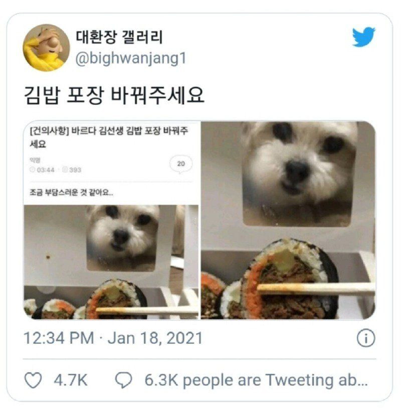 멍사랑 세상 귀여운 멍멍이 Ssul~ 🐕 Daum 카페