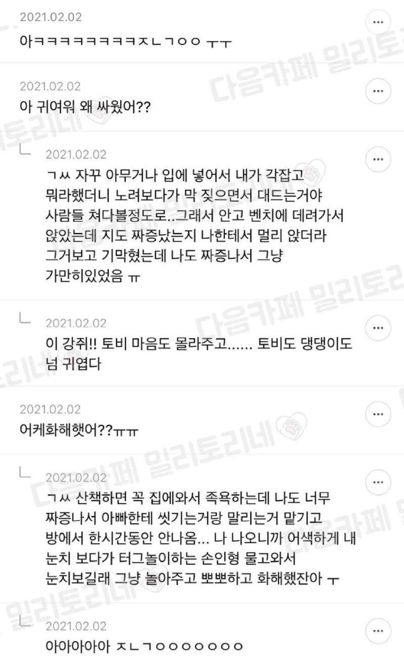멍사랑 세상 귀여운 멍멍이 Ssul~ 🐕 Daum 카페