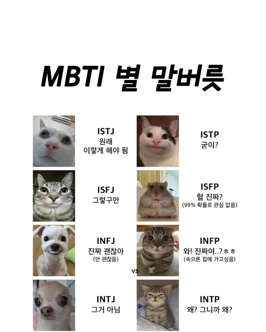 mbti is science | MBTI 별 말버릇.jpg - Daum 카페