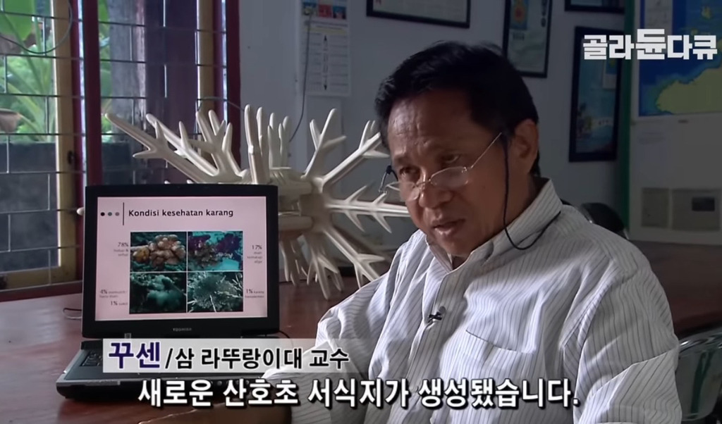 뉴스를 읽다 산호초 멸종 대책3d 프린터로 만든 인공 산호 설치 Daum 카페