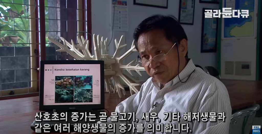 뉴스를 읽다 산호초 멸종 대책3d 프린터로 만든 인공 산호 설치 Daum 카페