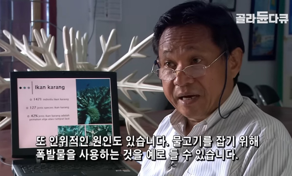 뉴스를 읽다 산호초 멸종 대책3d 프린터로 만든 인공 산호 설치 Daum 카페