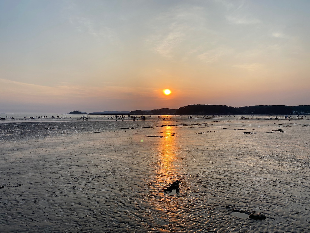 캠핑어디가지 태안국립공원 몽산포 자동차 야영장 Daum 카페