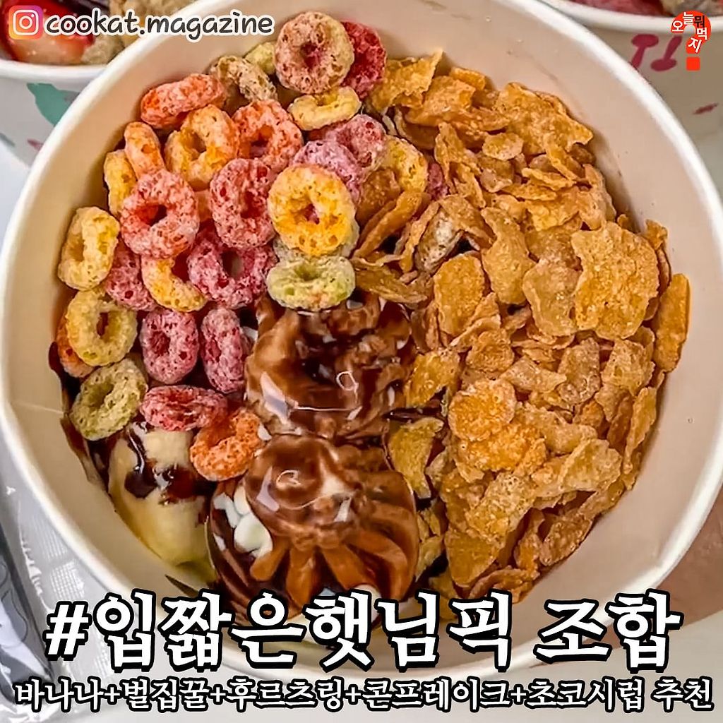 먹고 살자고 하는 짓인데 🍨요거트 아이스크림의 정석🍨 大존맛 꿀조합9 Daum 카페
