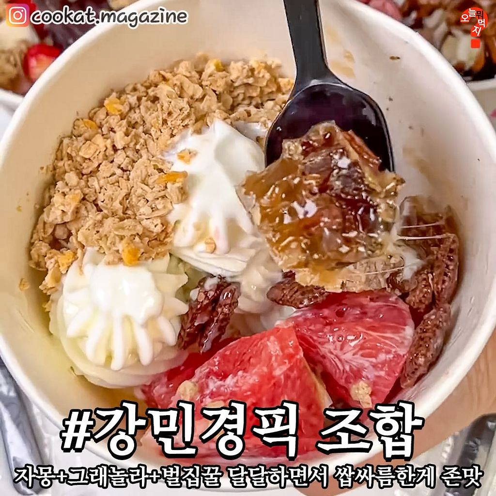 먹고 살자고 하는 짓인데 🍨요거트 아이스크림의 정석🍨 大존맛 꿀조합9 Daum 카페