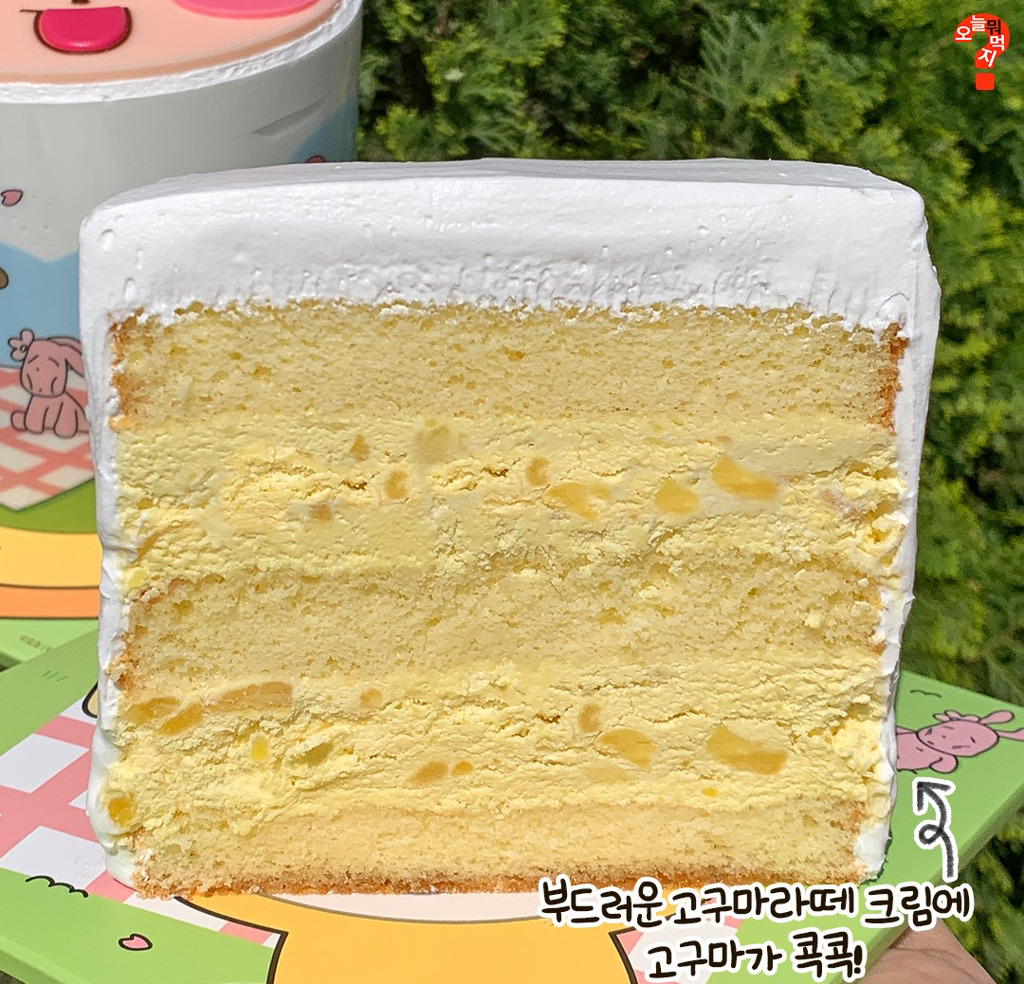 먹고 살자고 하는 짓인데 메가커피 X 마루는강쥐 콜라보 케이크 신상 출시 ‼️ Daum 카페