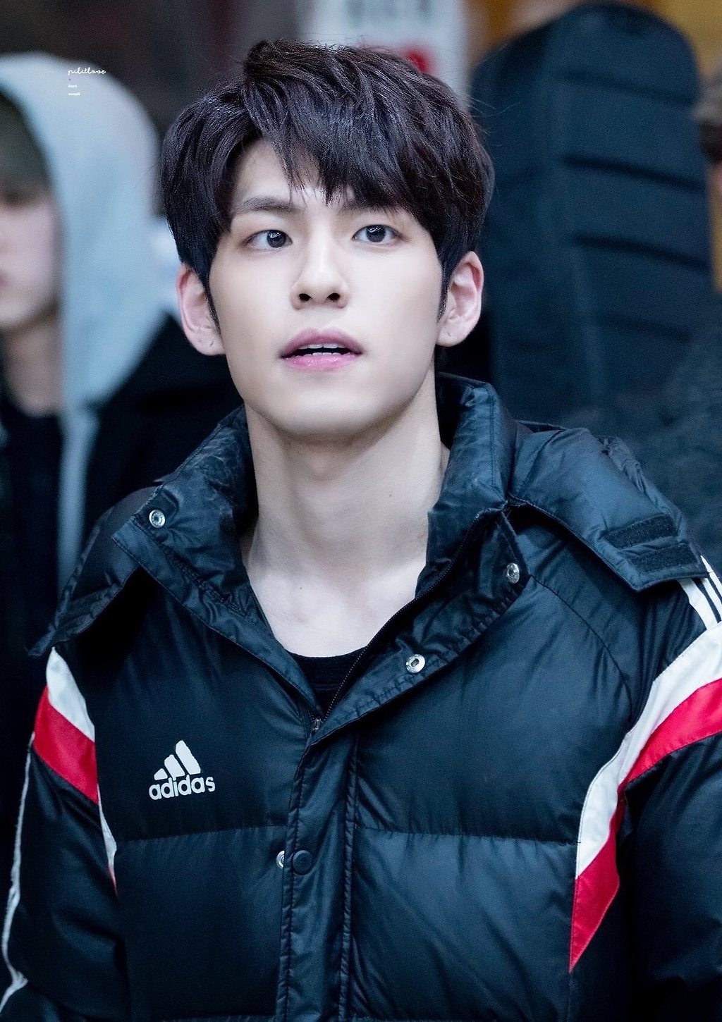 연예인 데일리룩 데이식스 원필 사복 Daum 카페