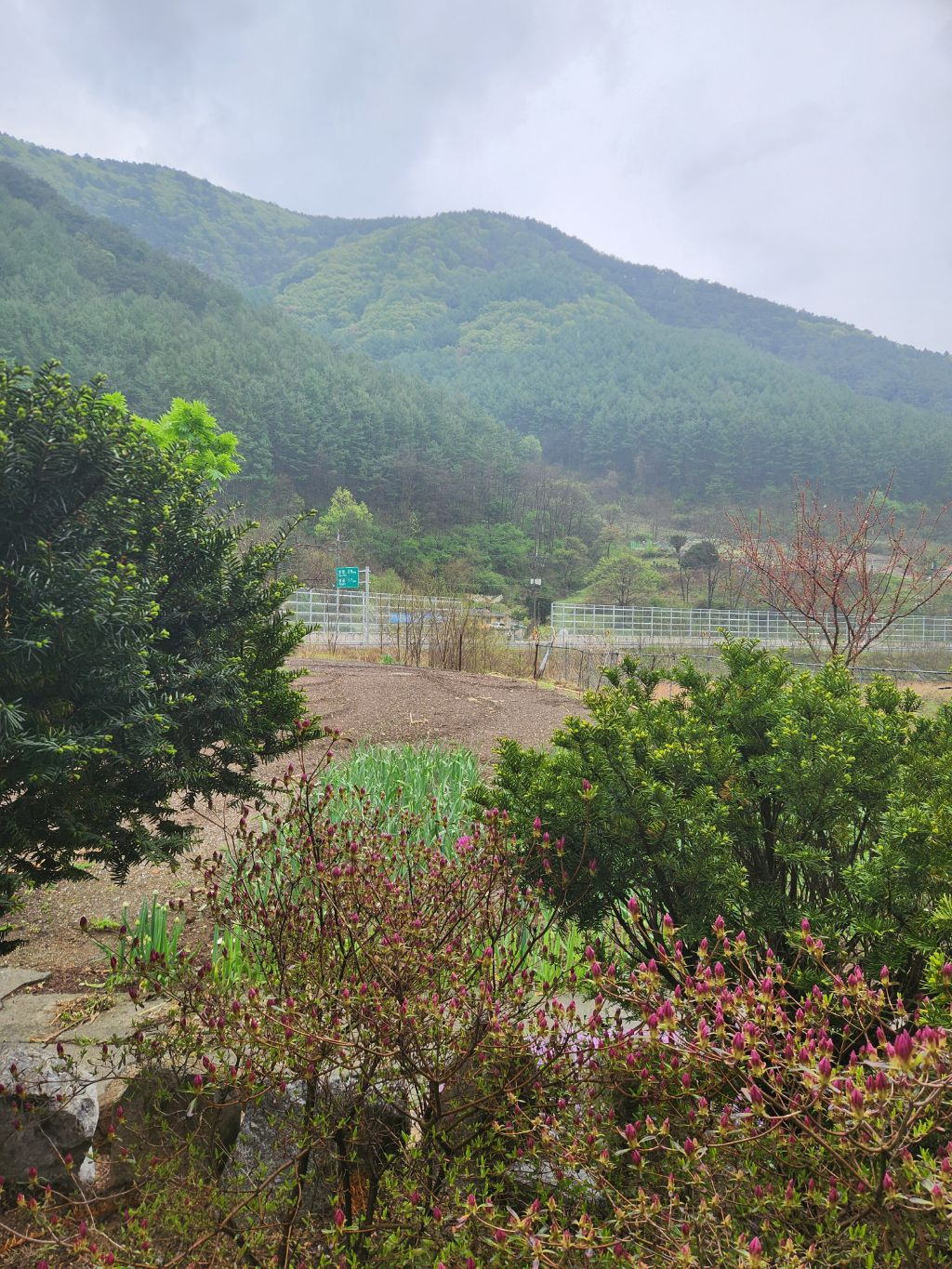 당신의 하늘은 오늘은 전국에 비가 오나보네 Daum 카페
