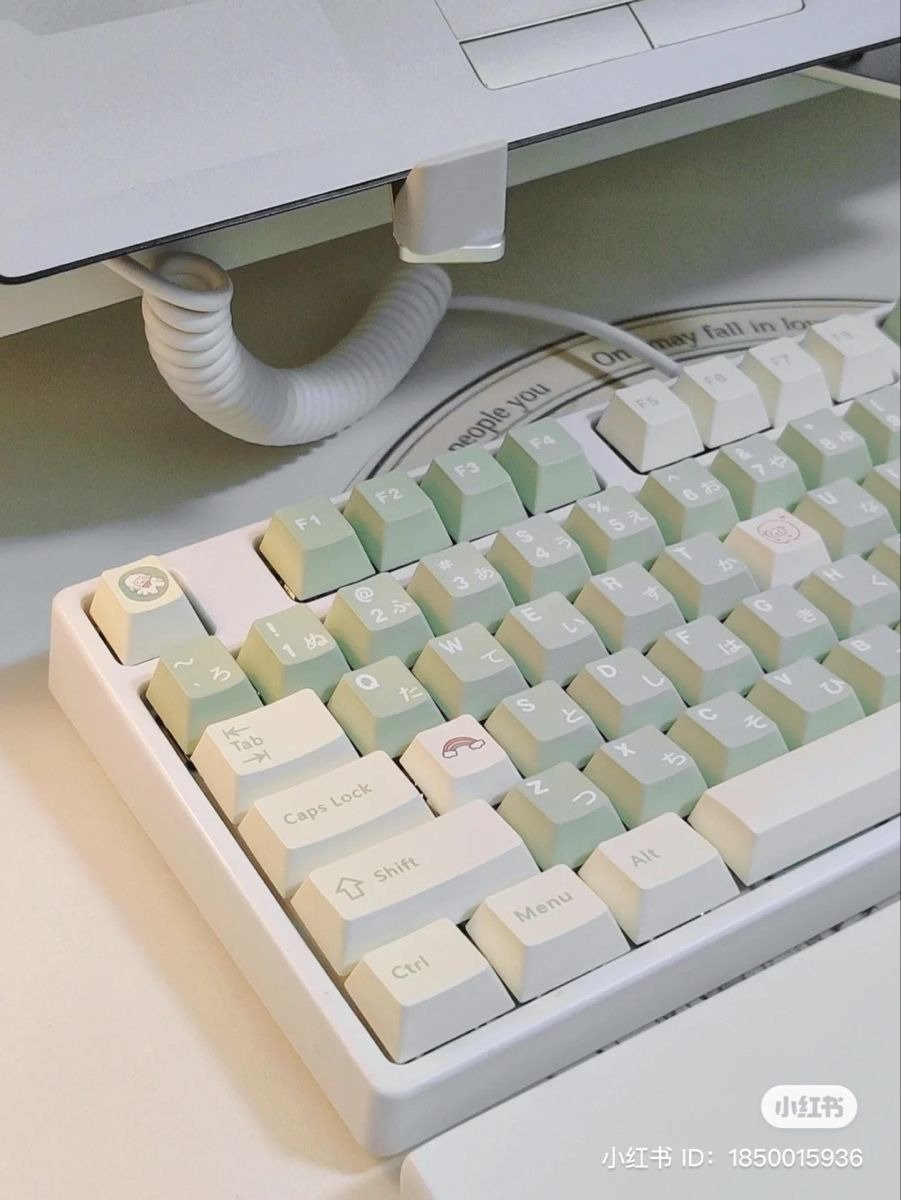 데스크테리어my Desk 데스크 꾸미기의 꽃은 역시 키보드 Daum 카페