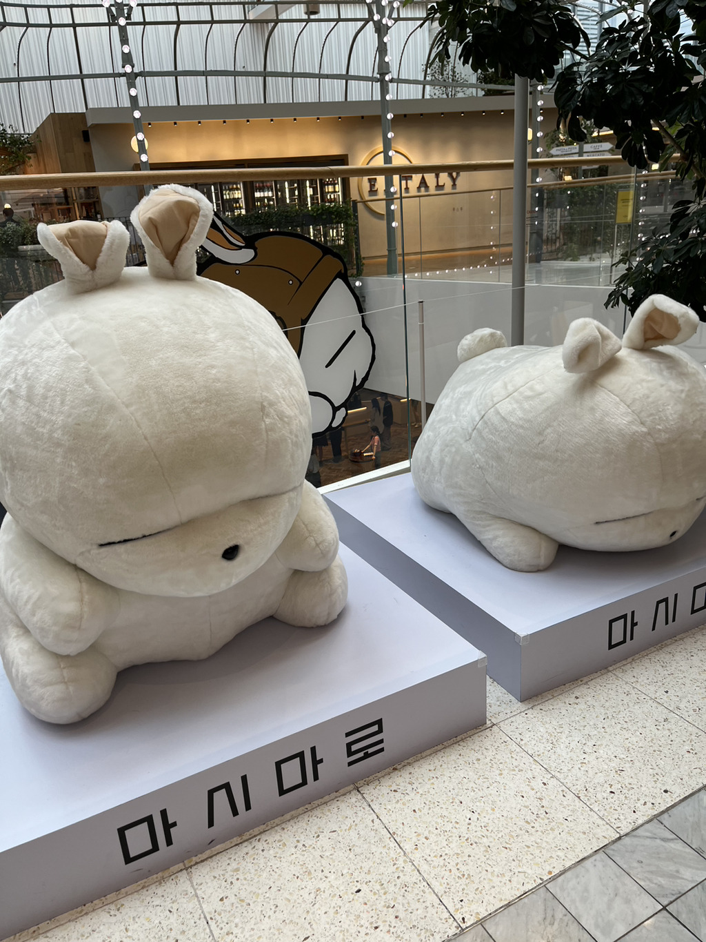 Here We Go 더현대서울 마시마로 팝업스토어 Daum 카페