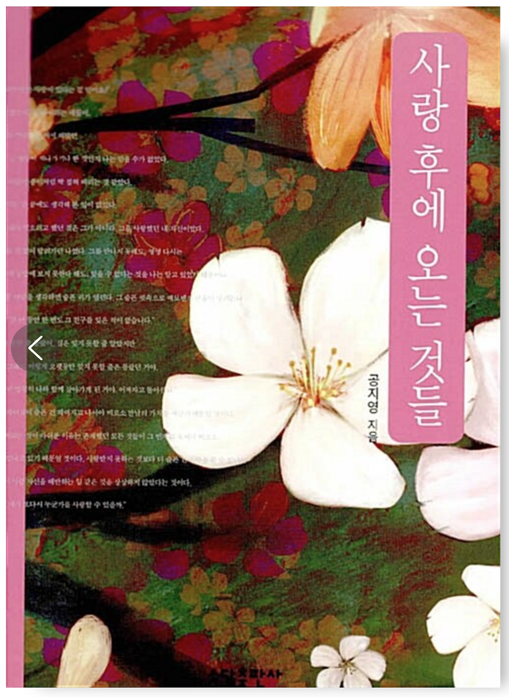 드라마 같이봐요 사랑후에 오는 것들 원작 소설 줄거리 Daum 카페