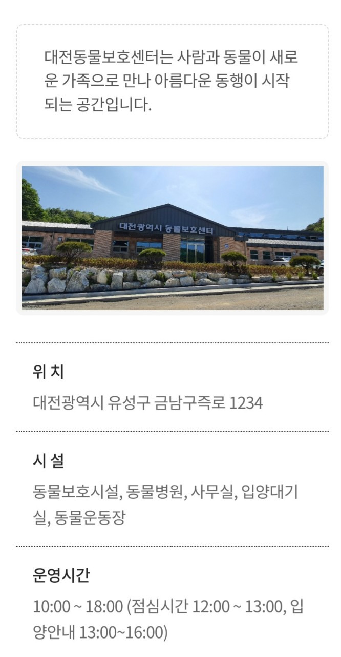 나만없어고양이 😭스코티쉬 폴드😭영국 이름 있는아이 Daum 카페