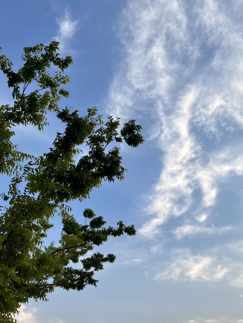 직!접! 찍!은! 사진 자랑 | 하늘 - Daum 카페