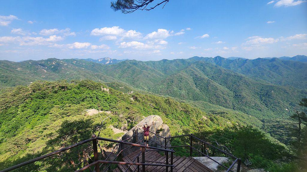 등산 추천 괴산 칠보산 Daum 카페
