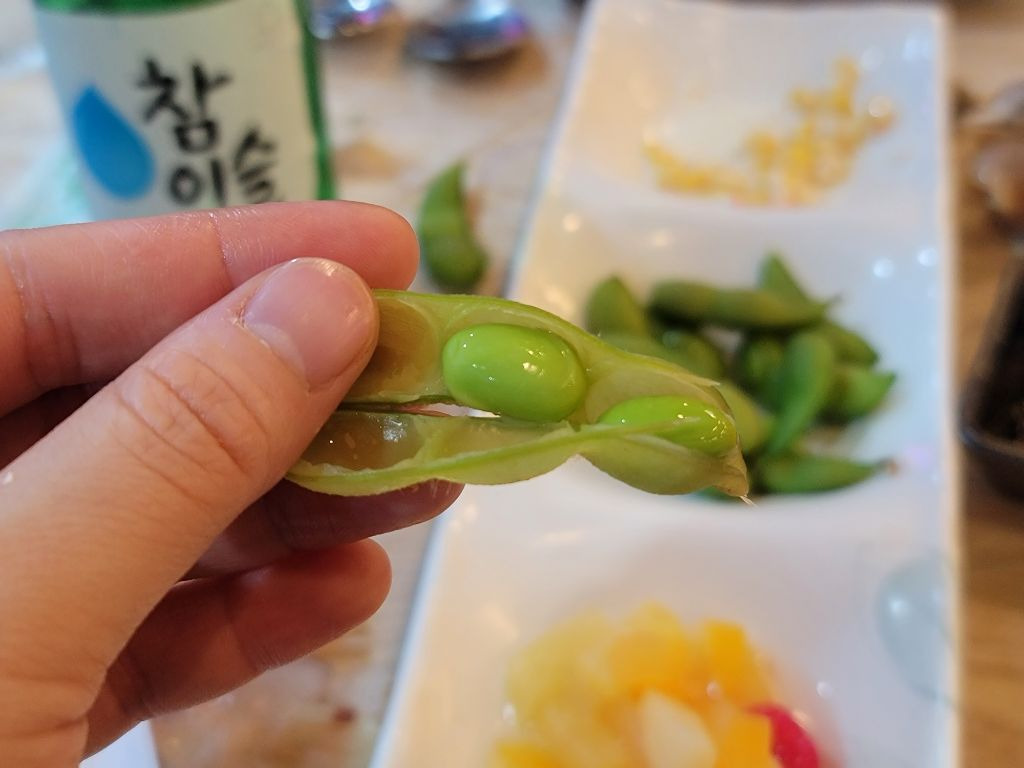 맛술싸 울릉도 여행 14 천금수산 독도 새우 택시 Daum 카페