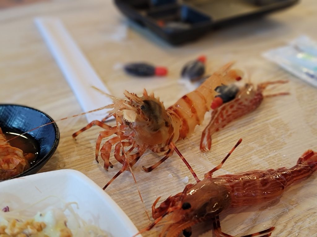 맛술싸 울릉도 여행 14 천금수산 독도 새우 택시 Daum 카페