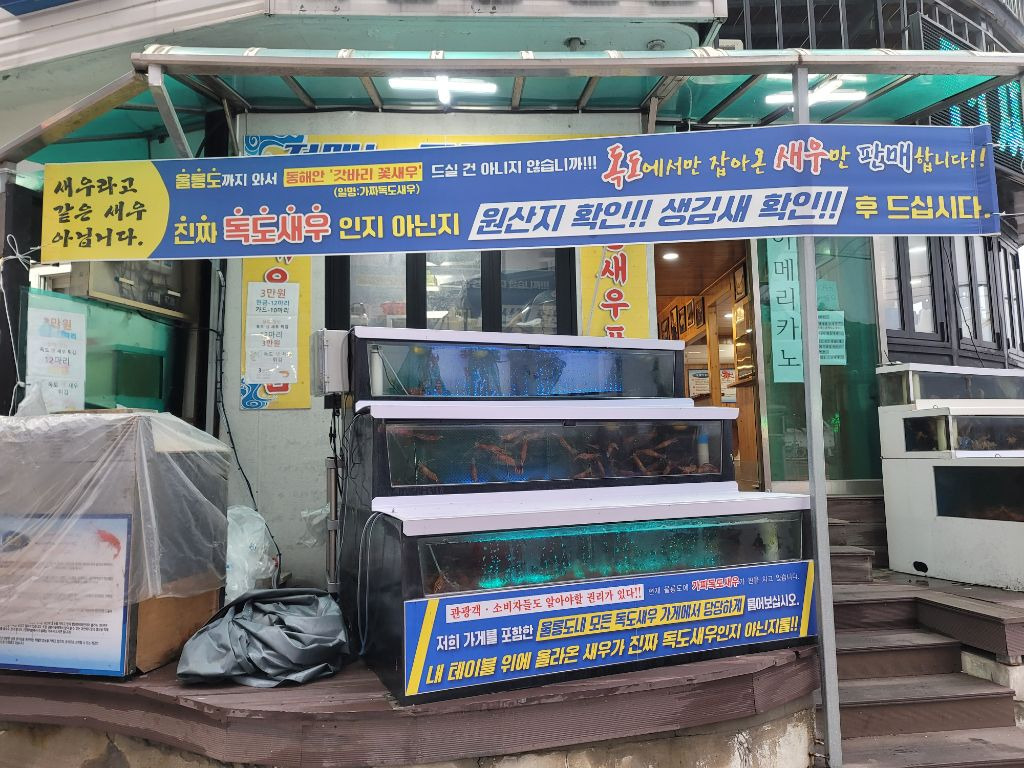 맛술싸 울릉도 여행 14 천금수산 독도 새우 택시 Daum 카페
