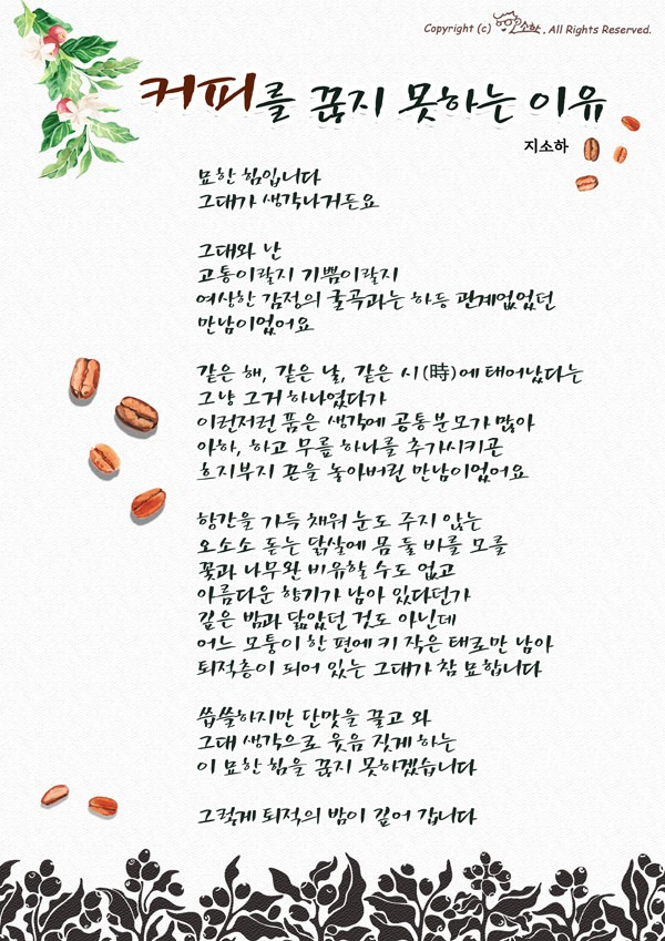 모든 디자인 캘리그라피 시 커피를 끊지 못하는 이유 Daum 카페