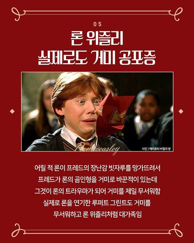 혹시 영화 좋아하세요 우리가 몰랐던 해리포터 시리즈 뒷이야기 Daum 카페