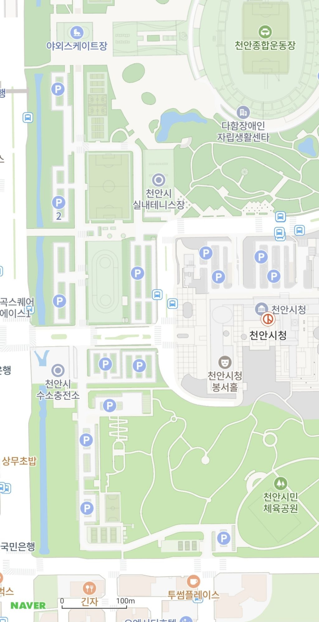 천안시 뭉쳐모여 천안시청 사전투표소 And 벛꽃 Daum 카페