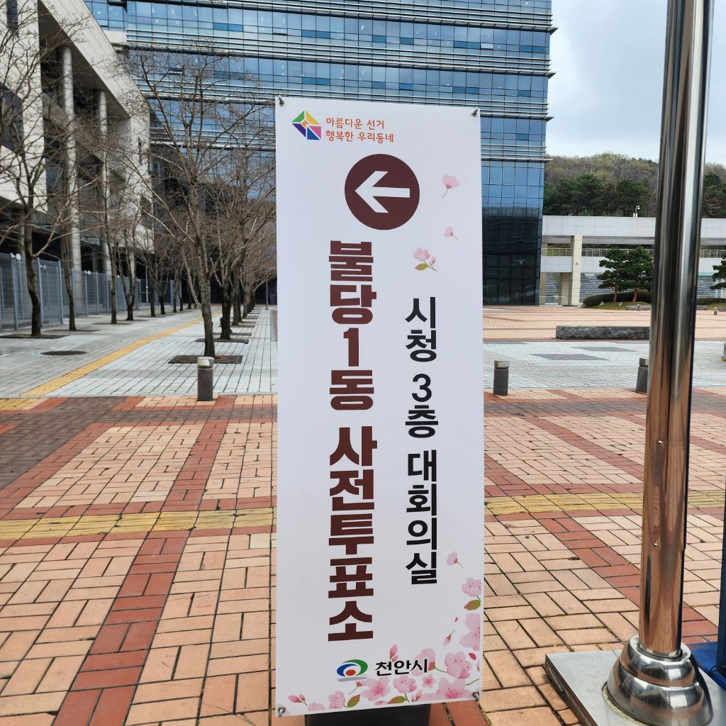 천안시 뭉쳐모여 천안시청 사전투표소 And 벛꽃 Daum 카페