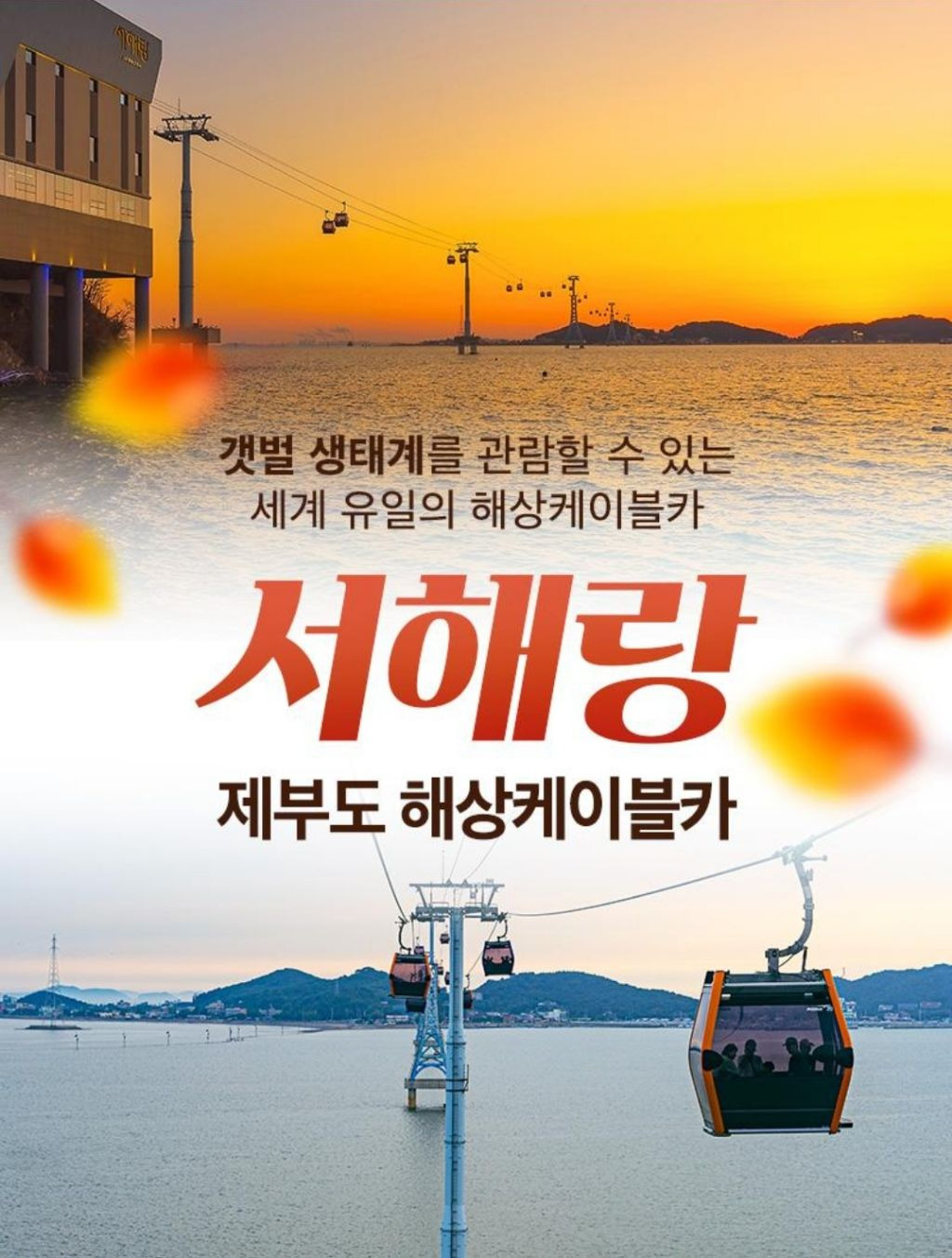 4050 싱글 다 모여 12월31일 해넘이 And 제부도 해상케이블카 바다 드라이브 Daum 카페