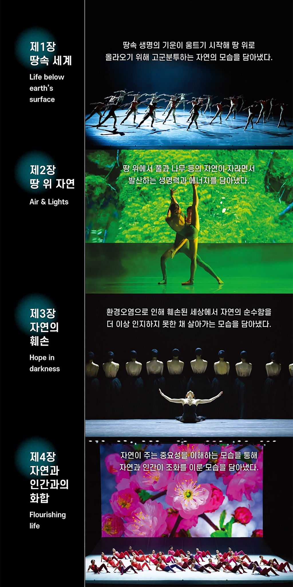 대구 공연 정보 및 관람 240615 창작발레 Vita 대구 Daum 카페