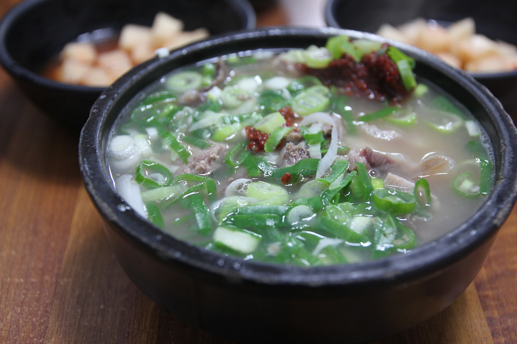 강릉 맛집멋집 금성해장국 Daum 카페