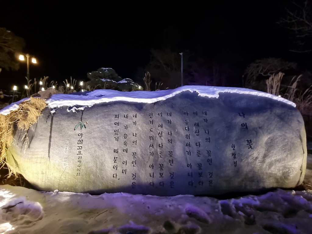 알뜰통신족 아침고요수목원 불빛축제 오색별빛정원 다녀왔어요 Daum 카페