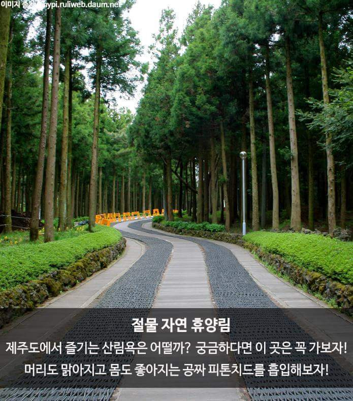 트래블러 방랑자 여행 올 여름 휴가로 갈만한 제주도 추천 여행 코스 Daum 카페