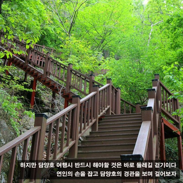 트래블러 방랑자 여행 담양 여행 필수코스 완전정복 Daum 카페