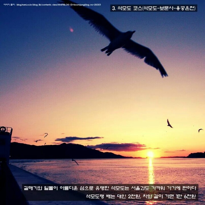 트래블러 방랑자 여행 무박여행 추천 코스 Best 5 Daum 카페