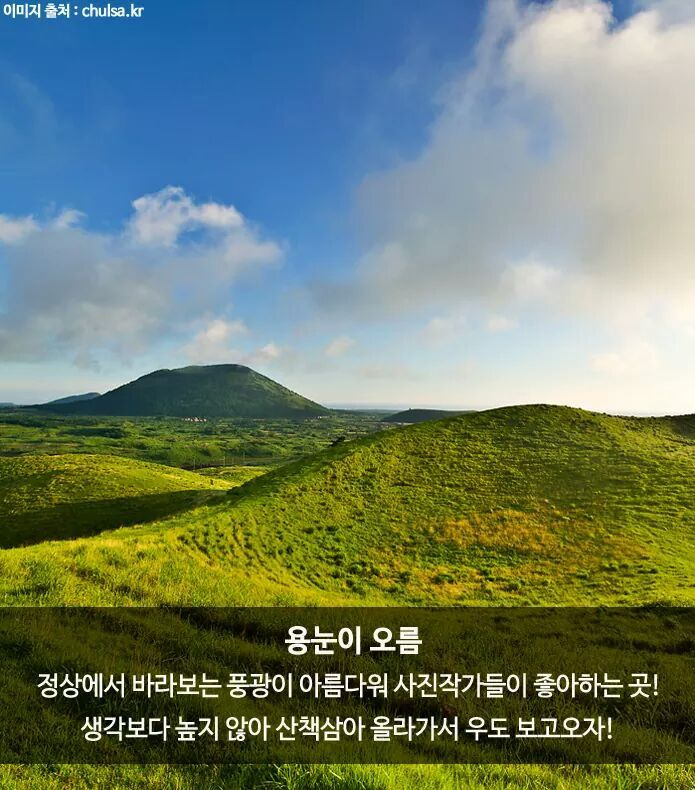 트래블러 방랑자 여행 올 여름 휴가로 갈만한 제주도 추천 여행 코스 Daum 카페
