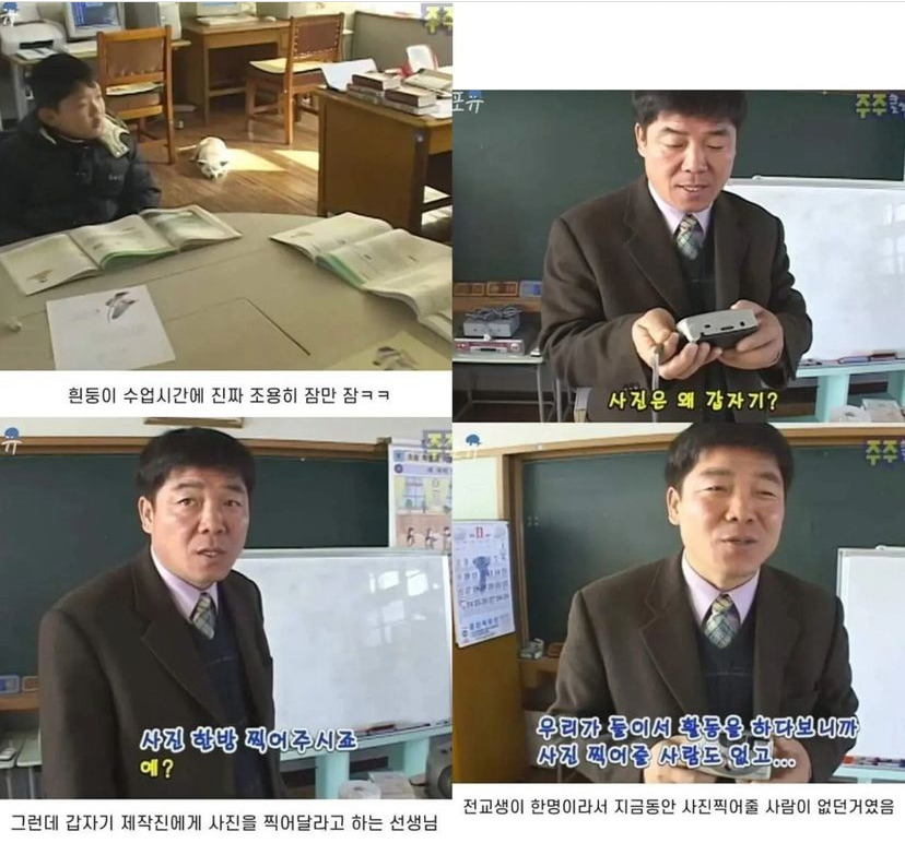 혹하게하는것들 전교생 1명이라 학교에 강아지데려왔던 학생근황 Daum 카페
