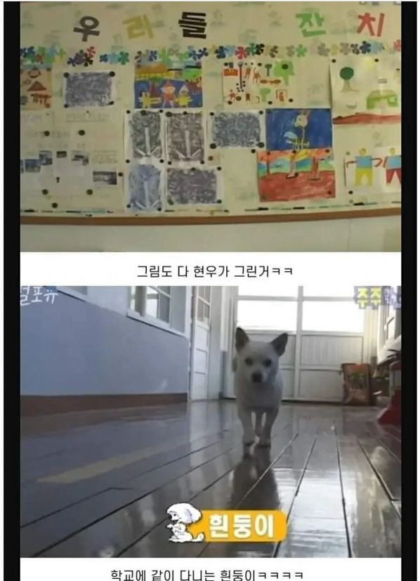 혹하게하는것들 전교생 1명이라 학교에 강아지데려왔던 학생근황 Daum 카페