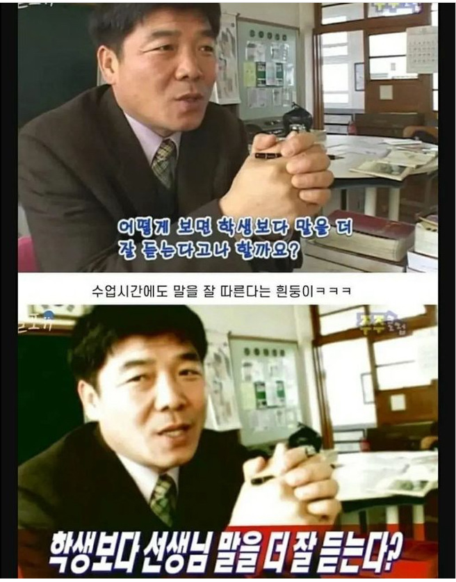 혹하게하는것들 전교생 1명이라 학교에 강아지데려왔던 학생근황 Daum 카페