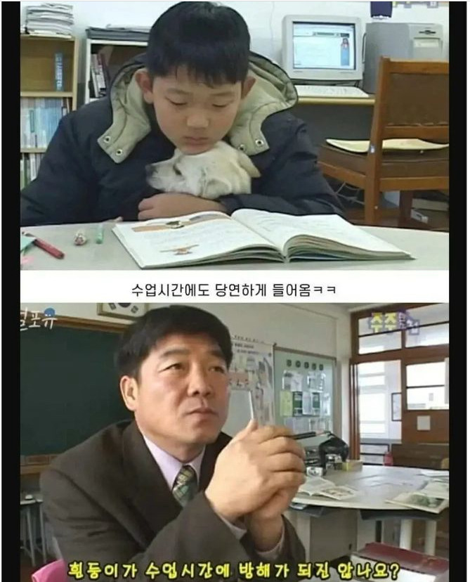 혹하게하는것들 전교생 1명이라 학교에 강아지데려왔던 학생근황 Daum 카페