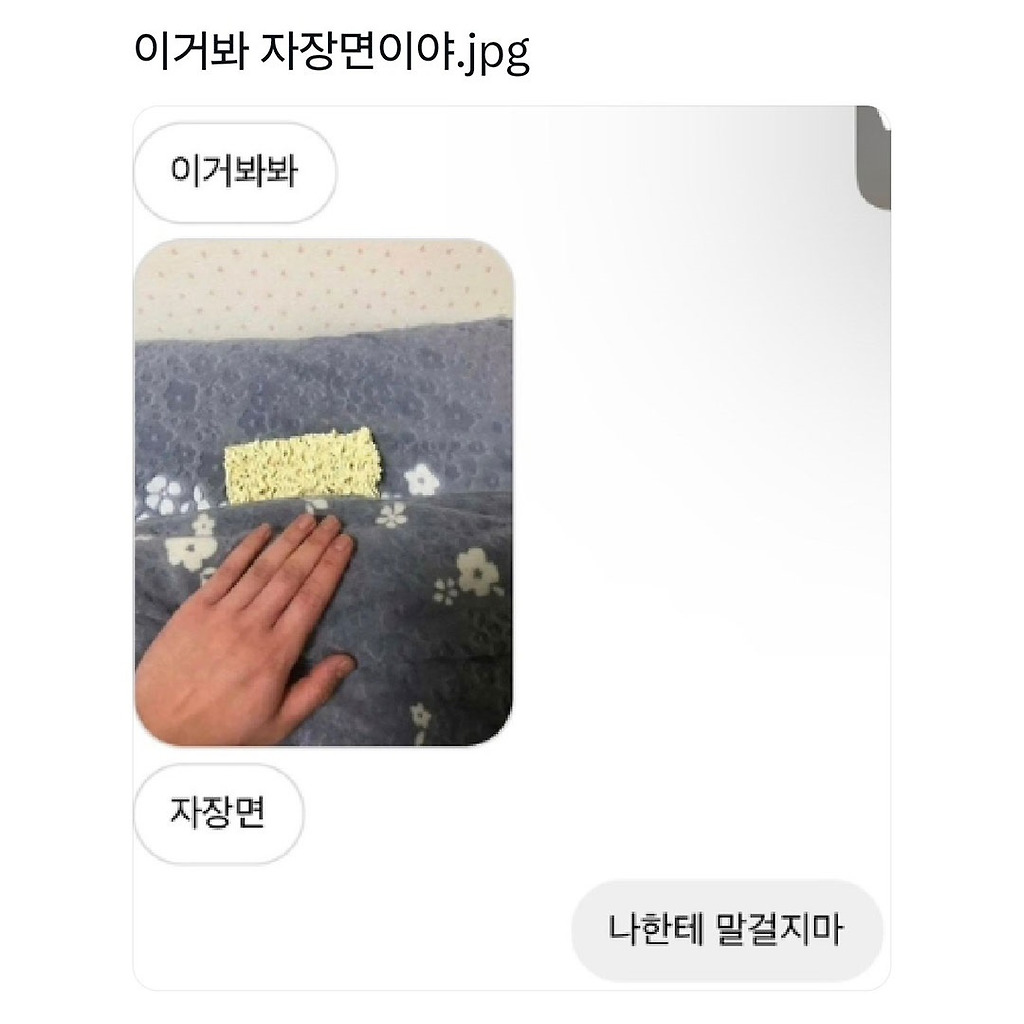 혹하게하는것들 이거봐 자장면이야 Daum 카페