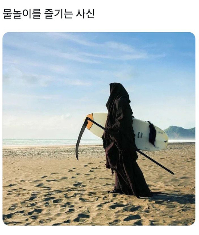 혹하게하는것들 물놀이를 즐기는 사신 Daum 카페