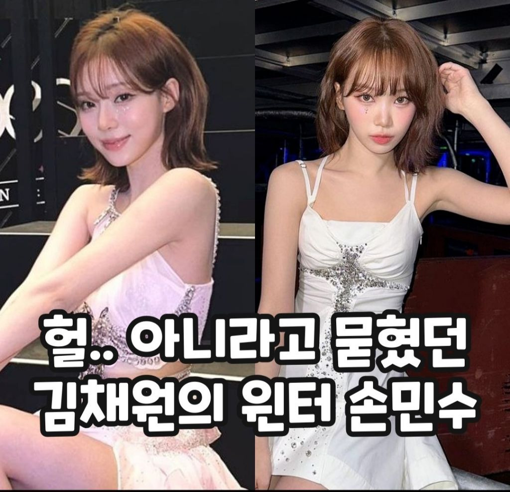혹하게하는것들 아니라고 묻혔던 김채원의 윈터 손민수 Daum 카페