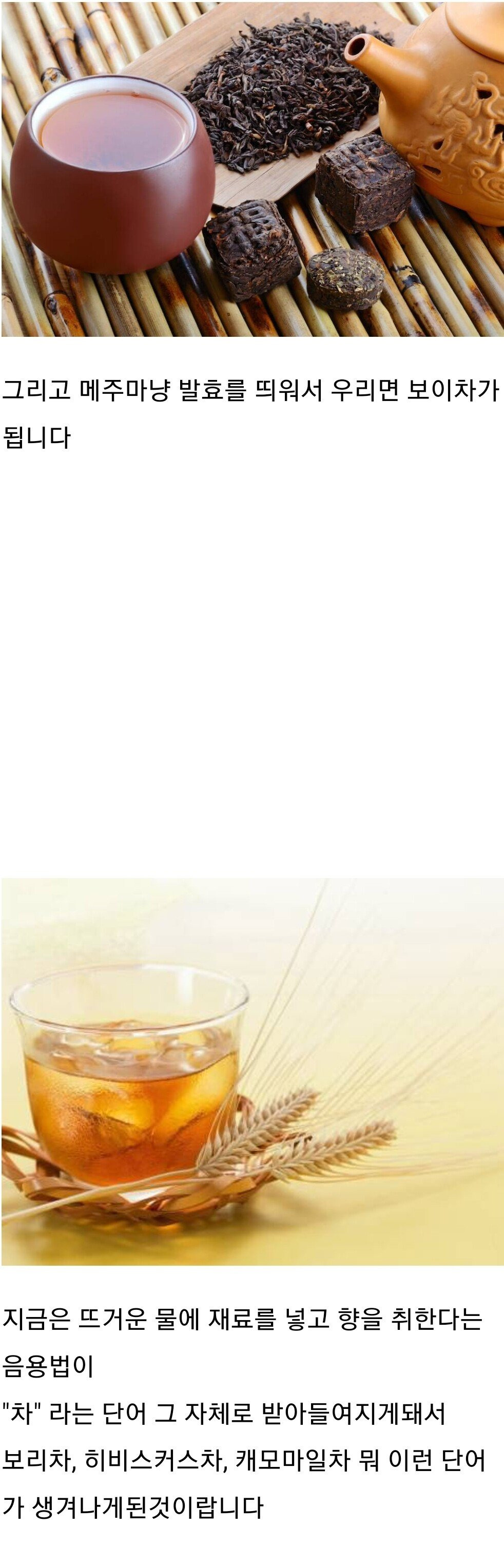 사이버 집현전 의외로 모르는 사람이 많다는 차tea의 비밀 Daum 카페