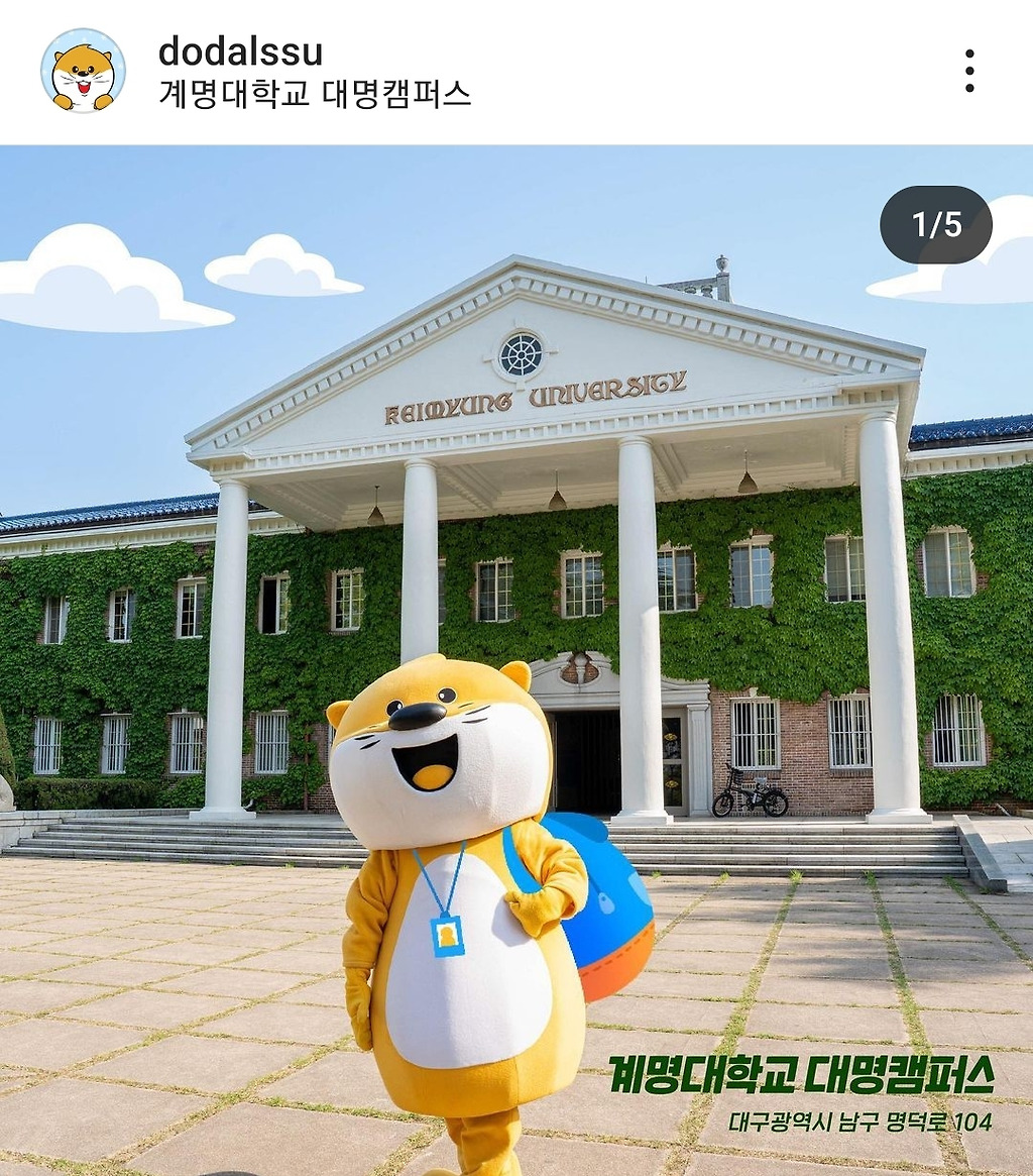 사이버 집현전 속성 겹치는 지자체 캐릭터 Daum 카페