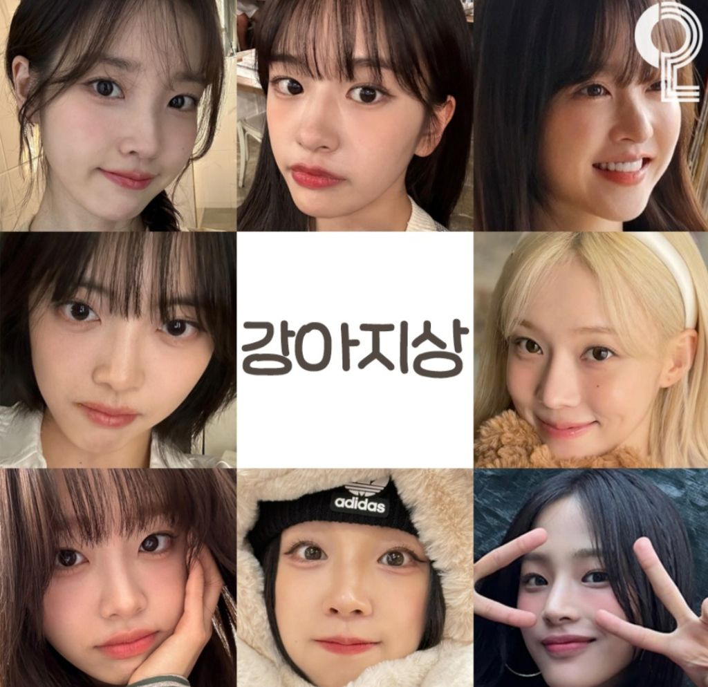 사이버 집현전 취향 확 갈린다는 얼굴상 모음 Daum 카페