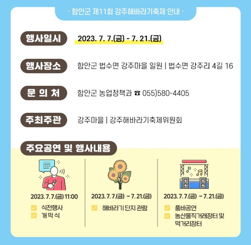 모든 축제 정보 함안군 강주해바라기 축제 Daum 카페